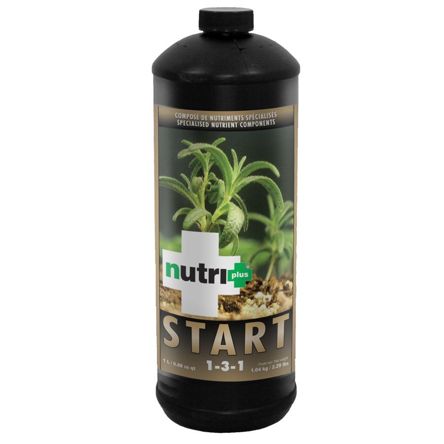 NUTRI+ START 1L – Sexxxy Puff